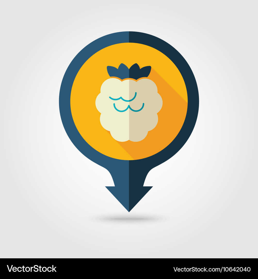 Raspberry flat pin map icon berry fruit Royalty Free Vector