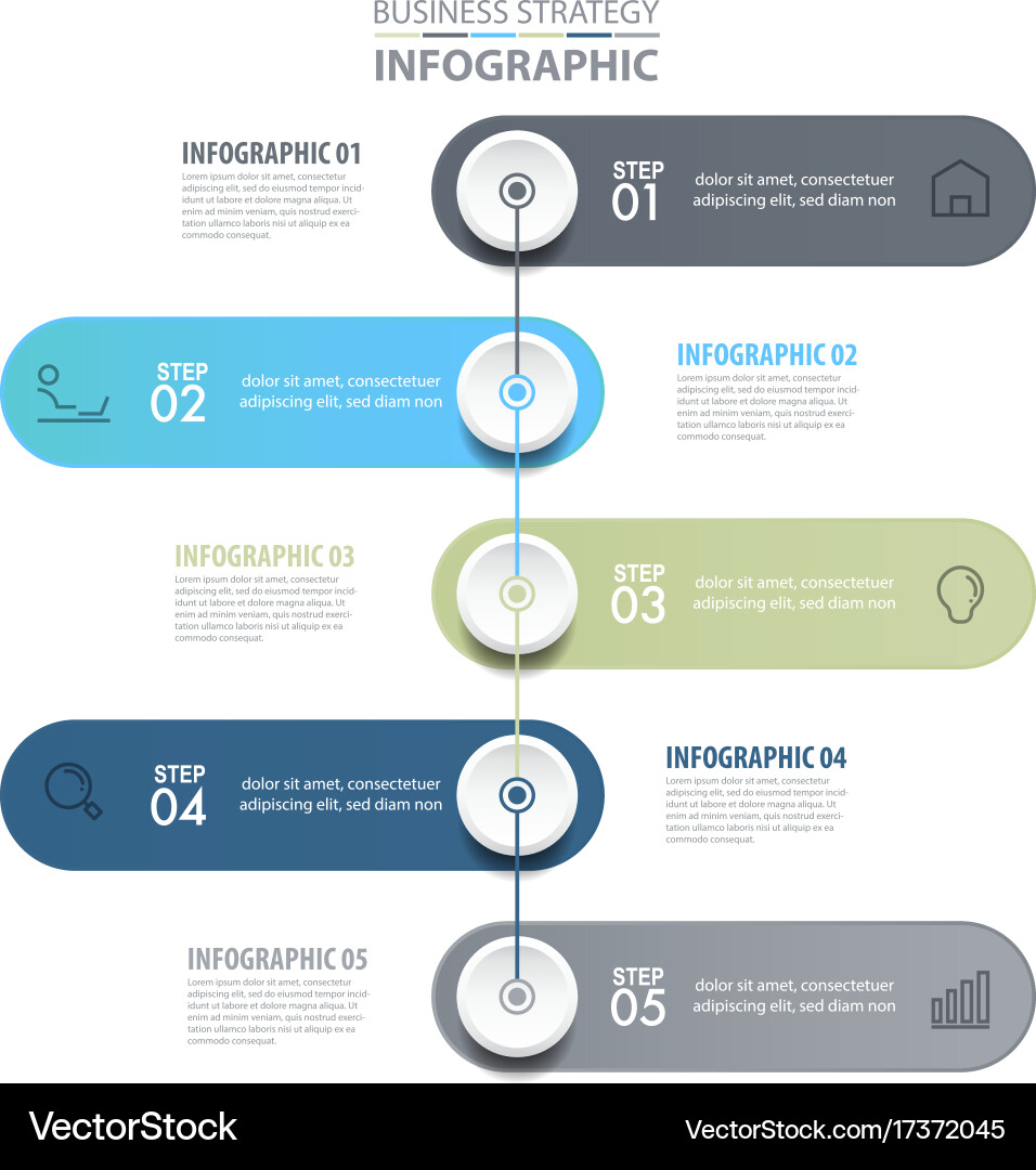 5 steps modern and clean business infographics Vector Image