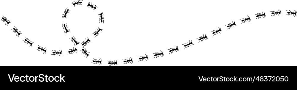 Ant trail insect path to the home Royalty Free Vector Image