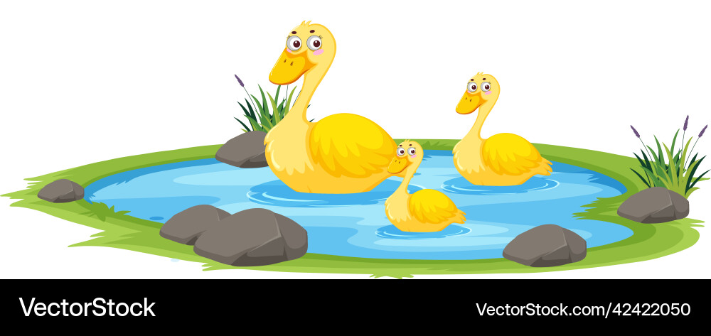 Duck in the pond on white background Royalty Free Vector