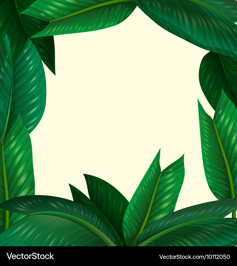 Frame design with green leaves Royalty Free Vector Image