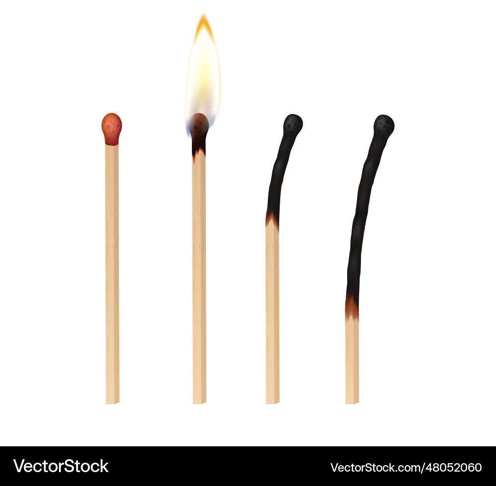 Set of realistic matches burning with flame Vector Image