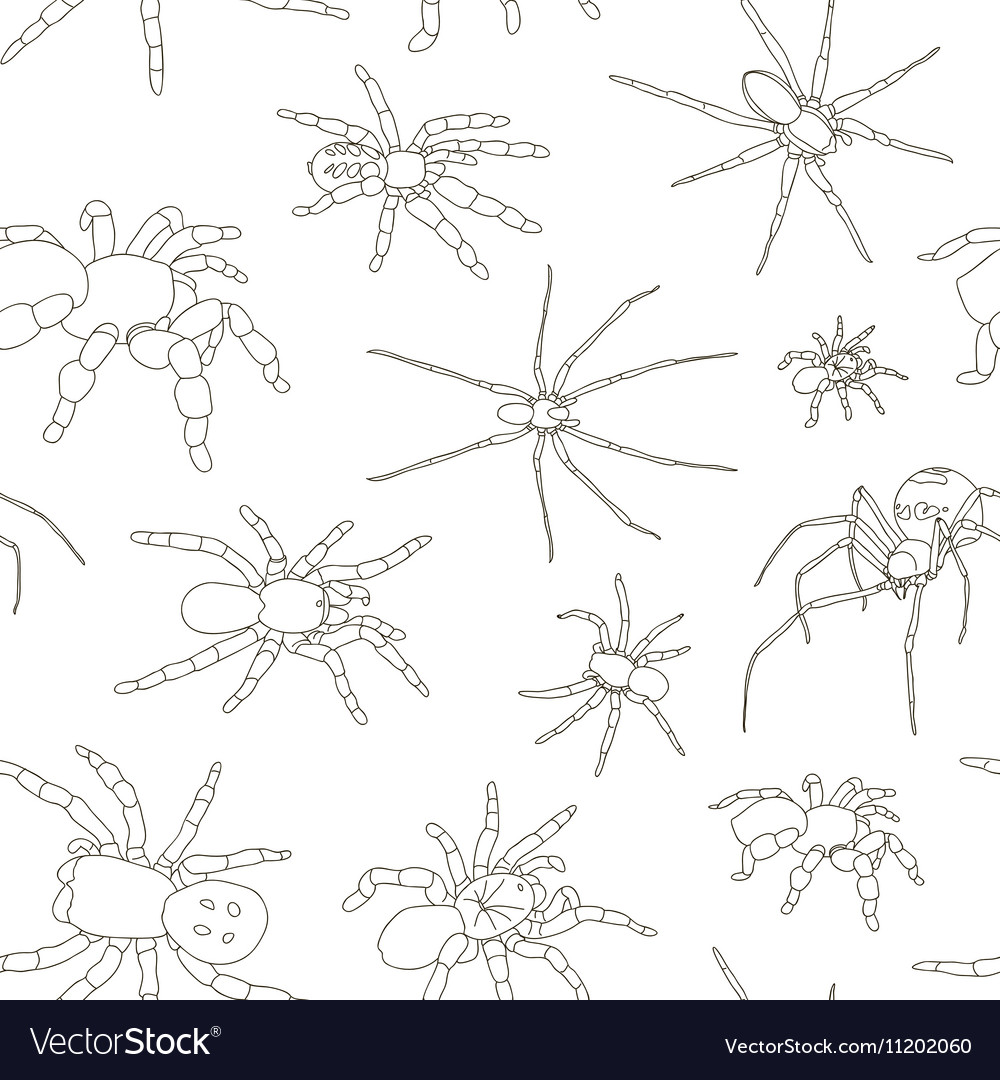 Spiders set pattern Royalty Free Vector Image - VectorStock