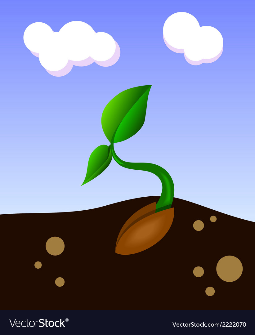 Leaf Royalty Free Vector Image - VectorStock