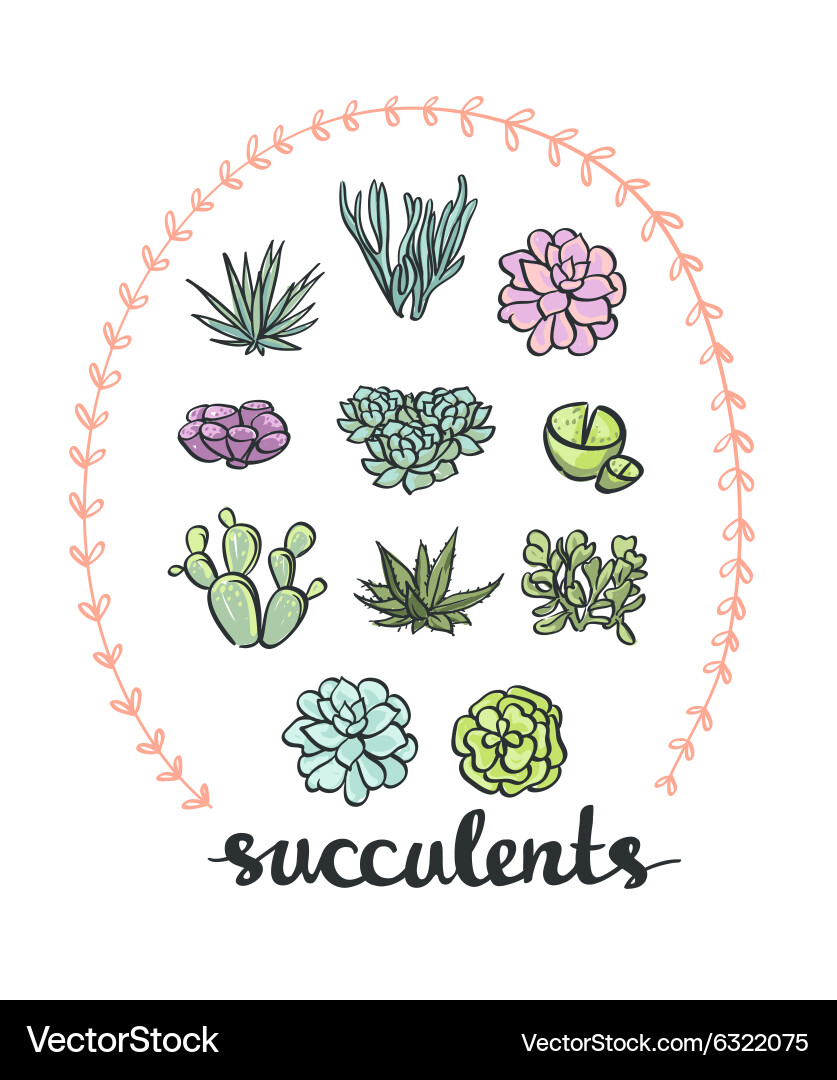 Succulent set cute Plants Royalty Free Vector Image