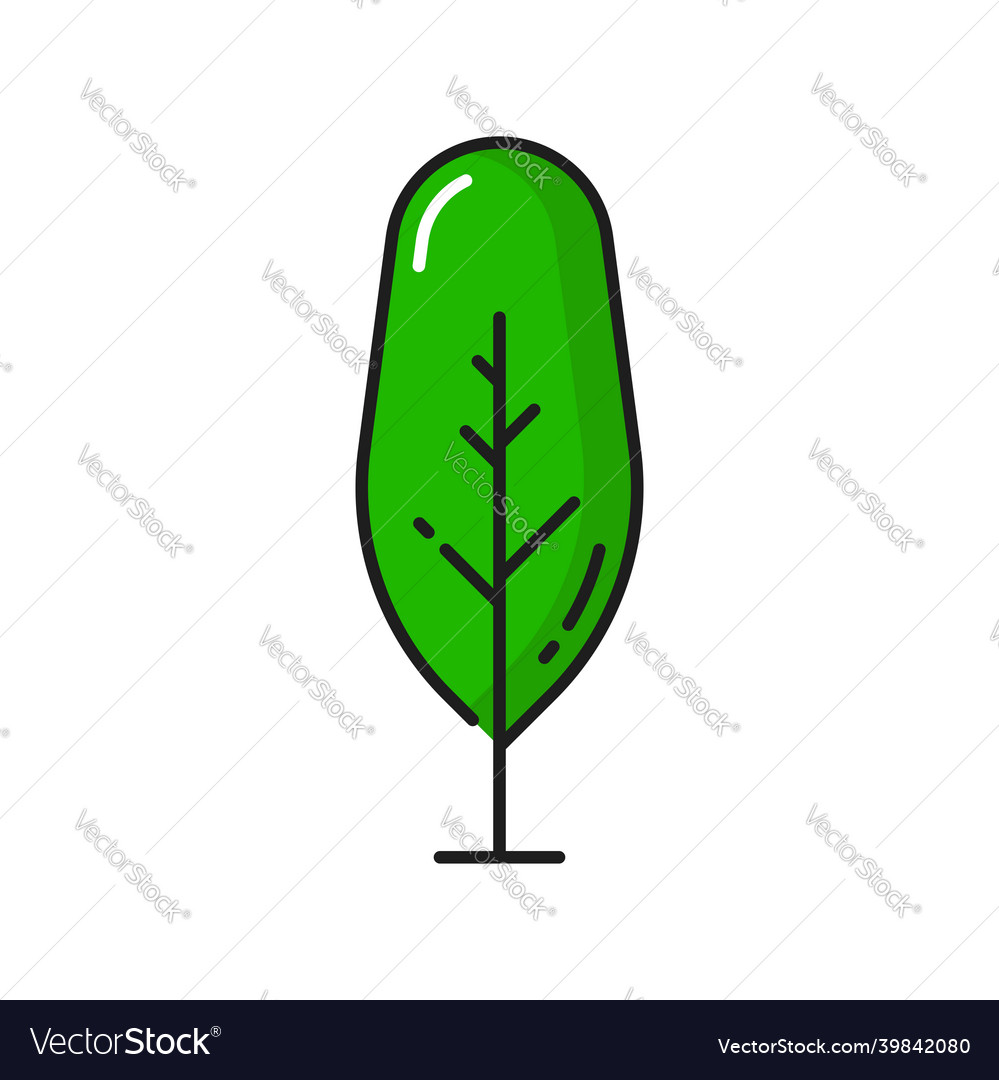 Park or garden plant outline icon green tree Vector Image