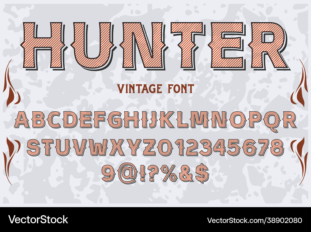 Typography alphabet design vintage font letters Vector Image
