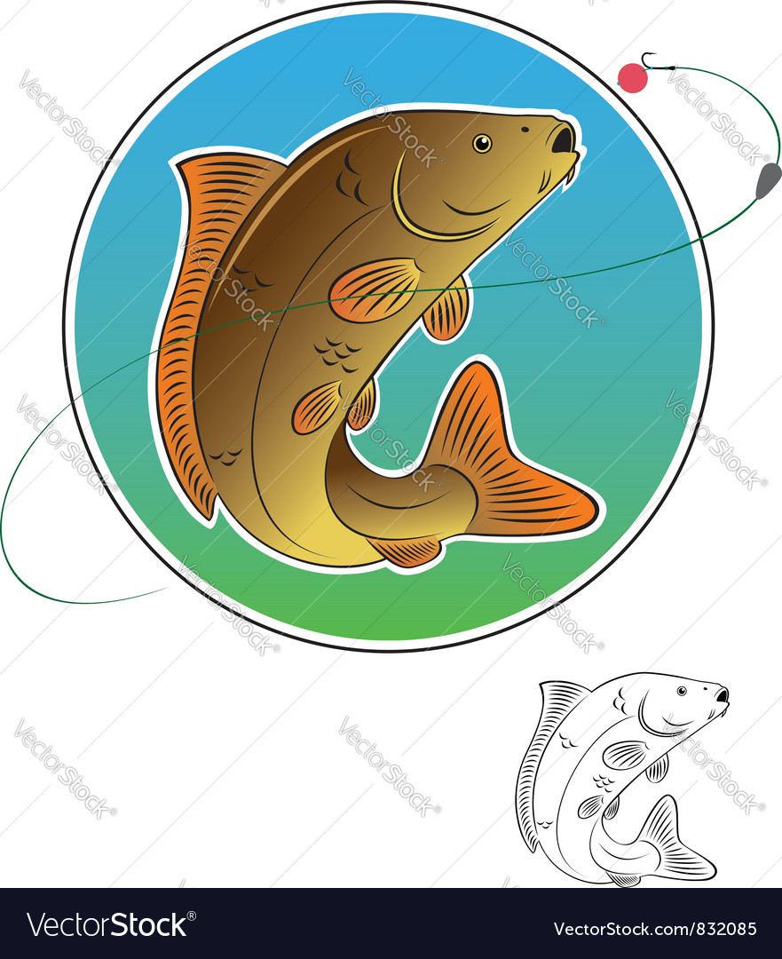 Carp Royalty Free Vector Image - VectorStock