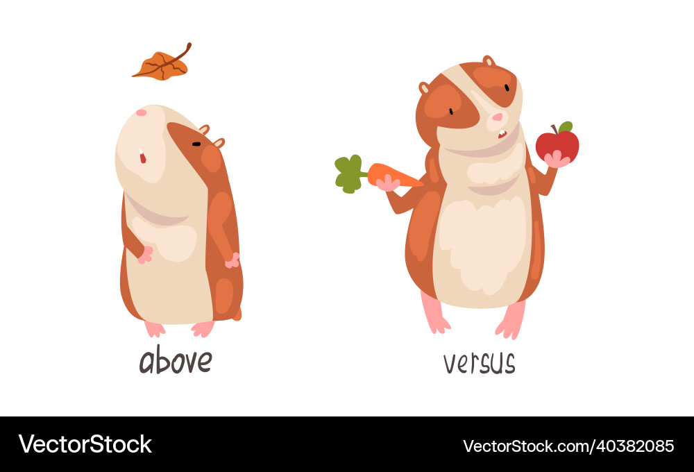 Cute hamster demonstrating english language Vector Image