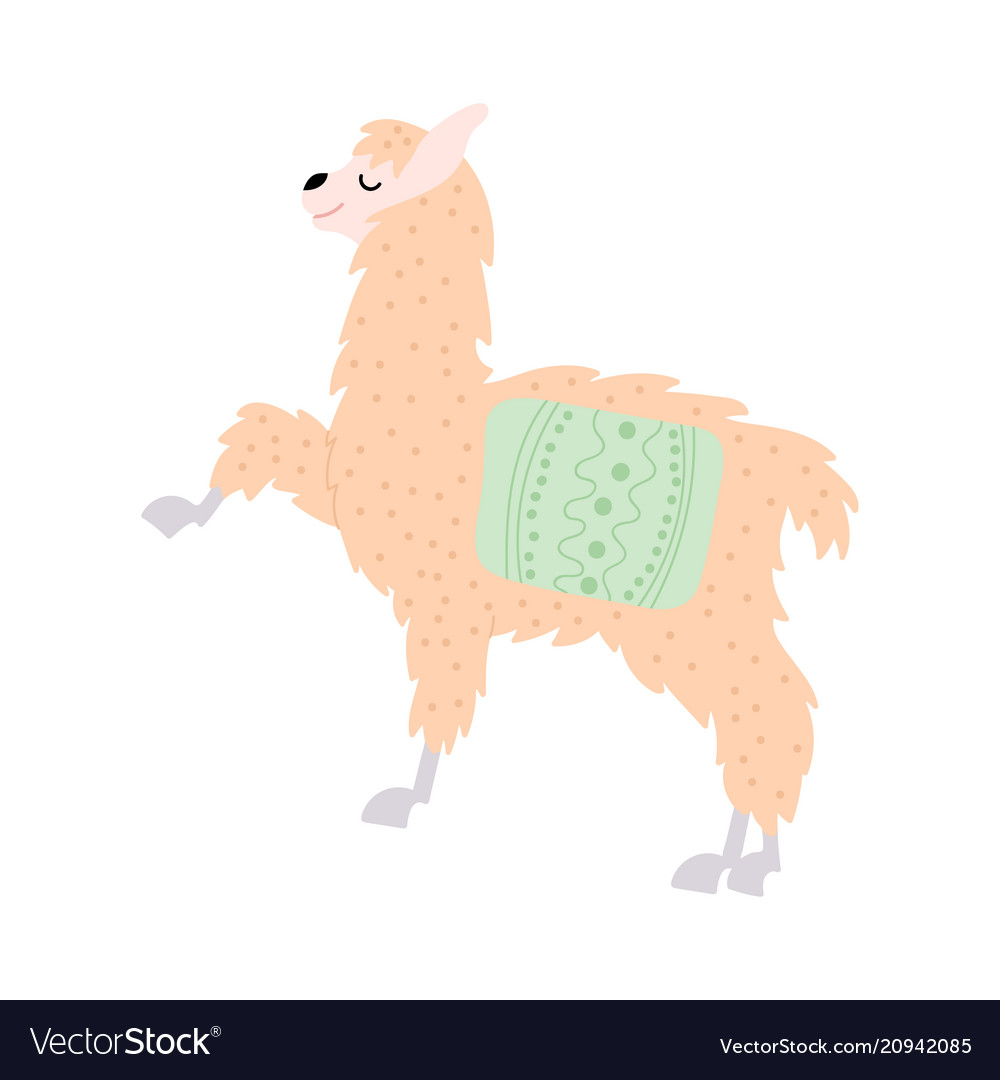 Llama Royalty Free Vector Image - VectorStock