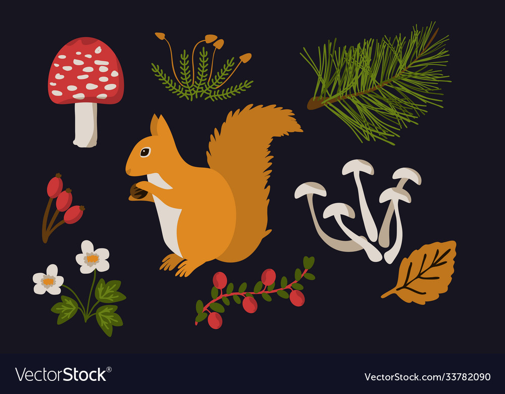 Forest objects set Royalty Free Vector Image - VectorStock