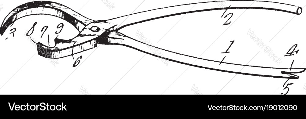 Tire tool vintage Royalty Free Vector Image - VectorStock
