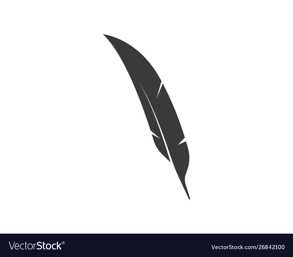 Feather icon template Royalty Free Vector Image
