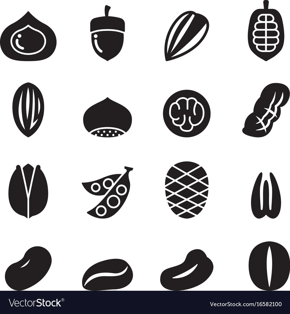 Nut icon set Royalty Free Vector Image - VectorStock