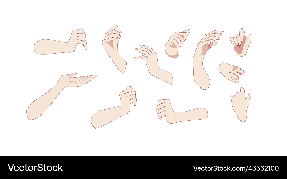 Pack of cartoon hands in various gestures Vector Image