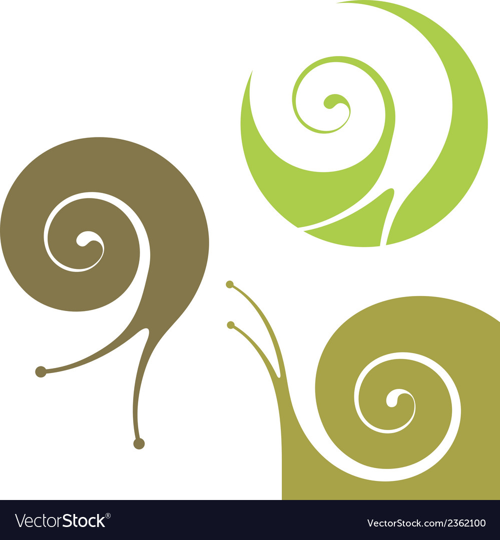 Snail Royalty Free Vector Image - VectorStock