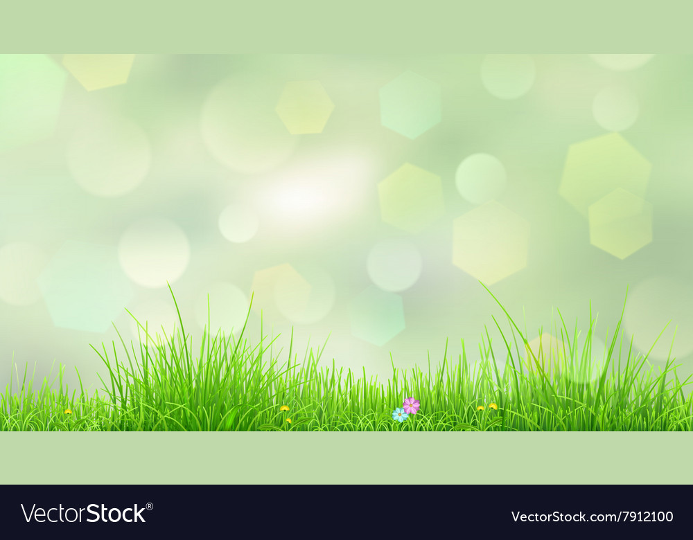 Spring background Royalty Free Vector Image - VectorStock