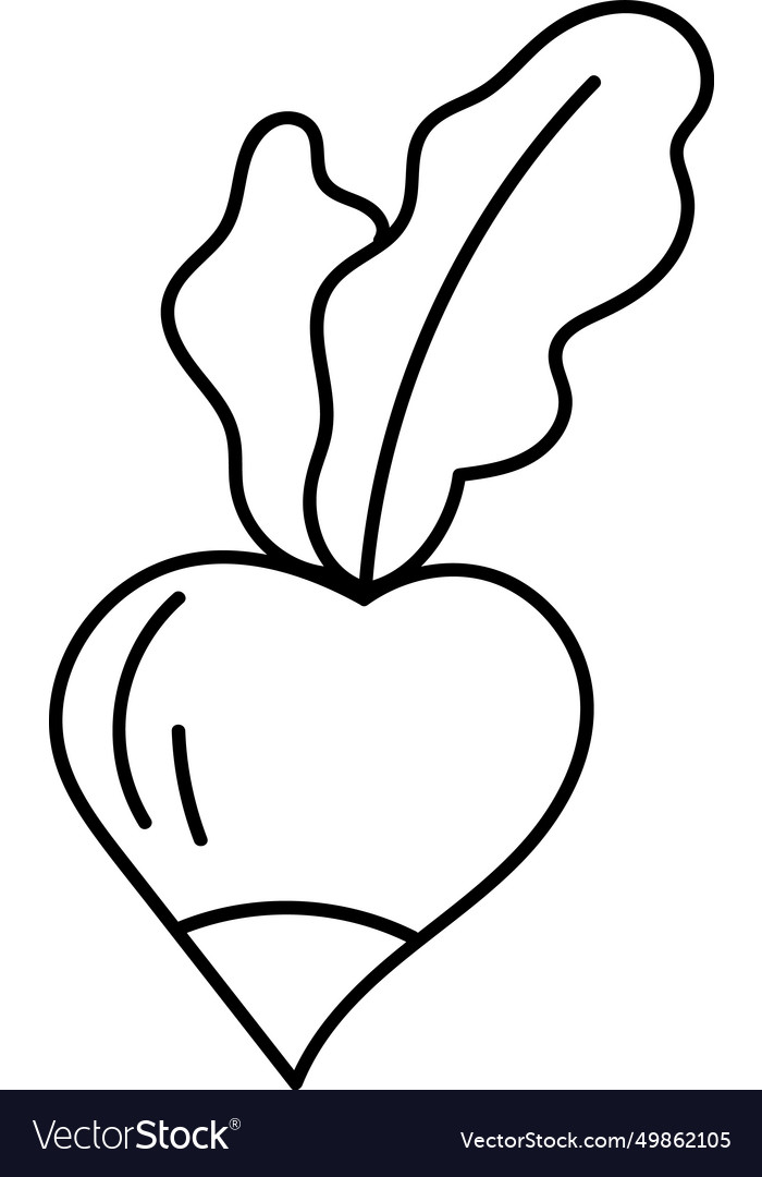 Beetroot vegetable outline Royalty Free Vector Image