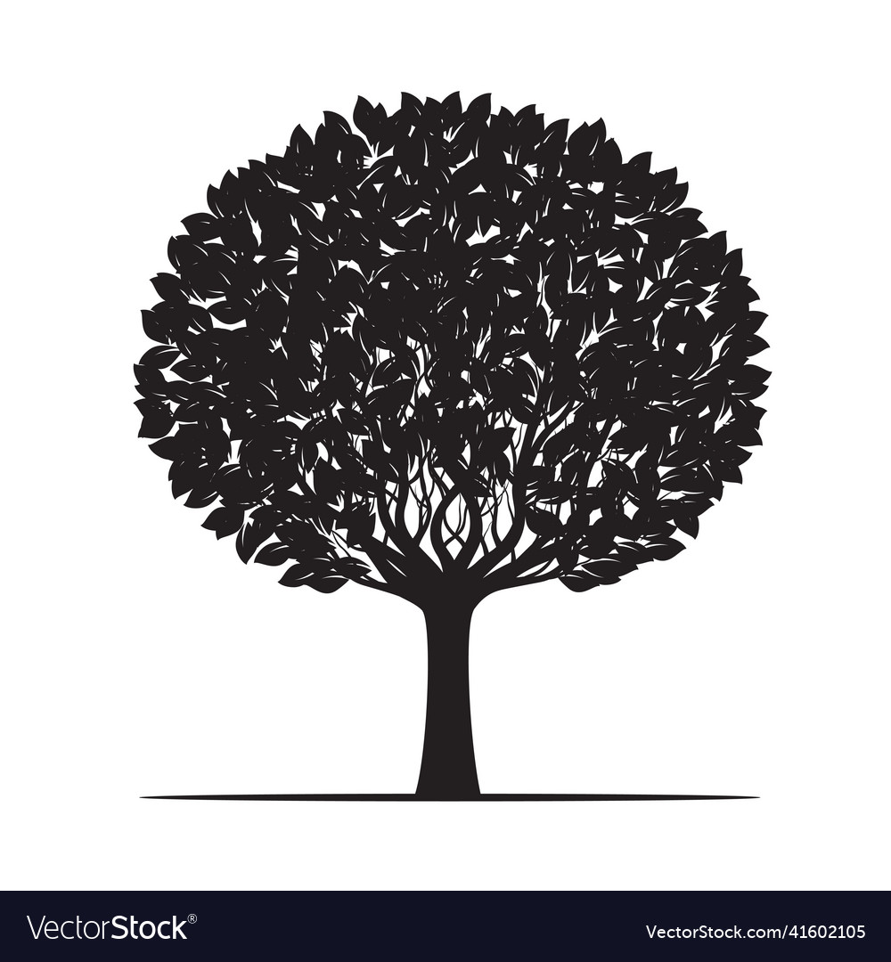 Green tree with leaves Royalty Free Vector Image