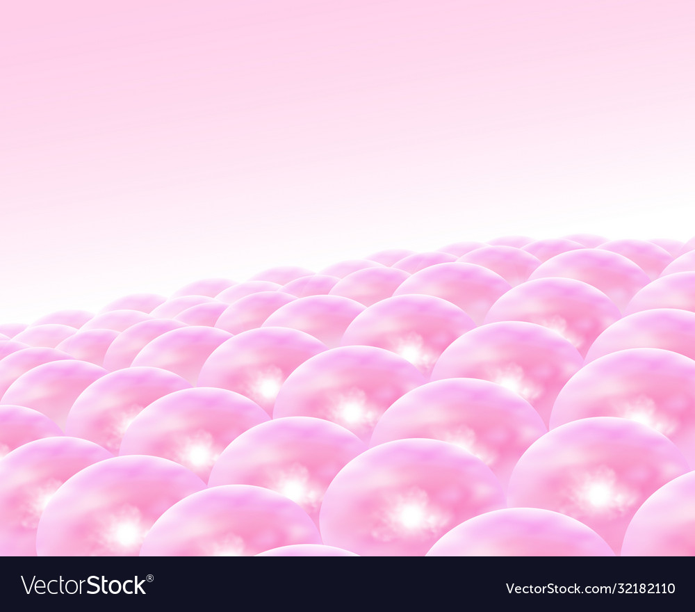 Cell surface layer Royalty Free Vector Image - VectorStock