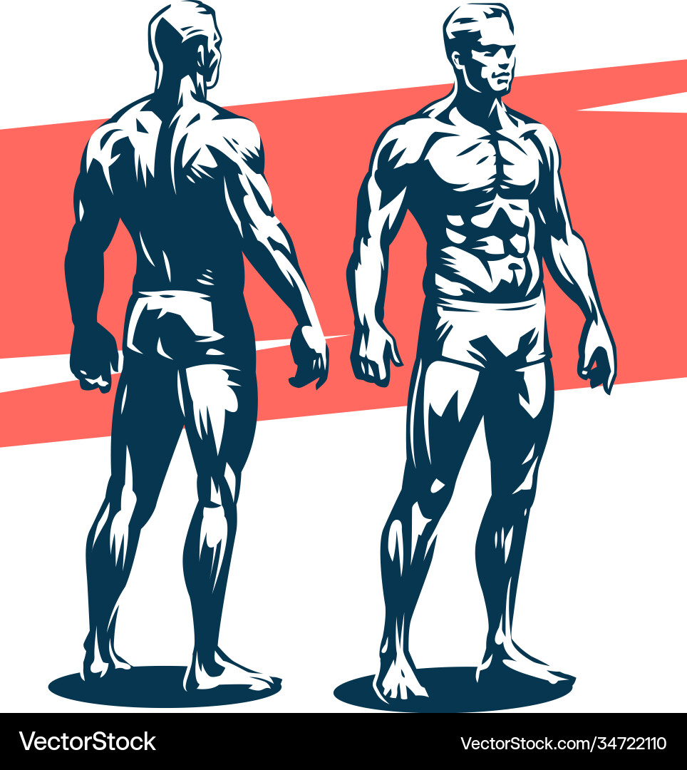 Figure a muscular man Royalty Free Vector Image