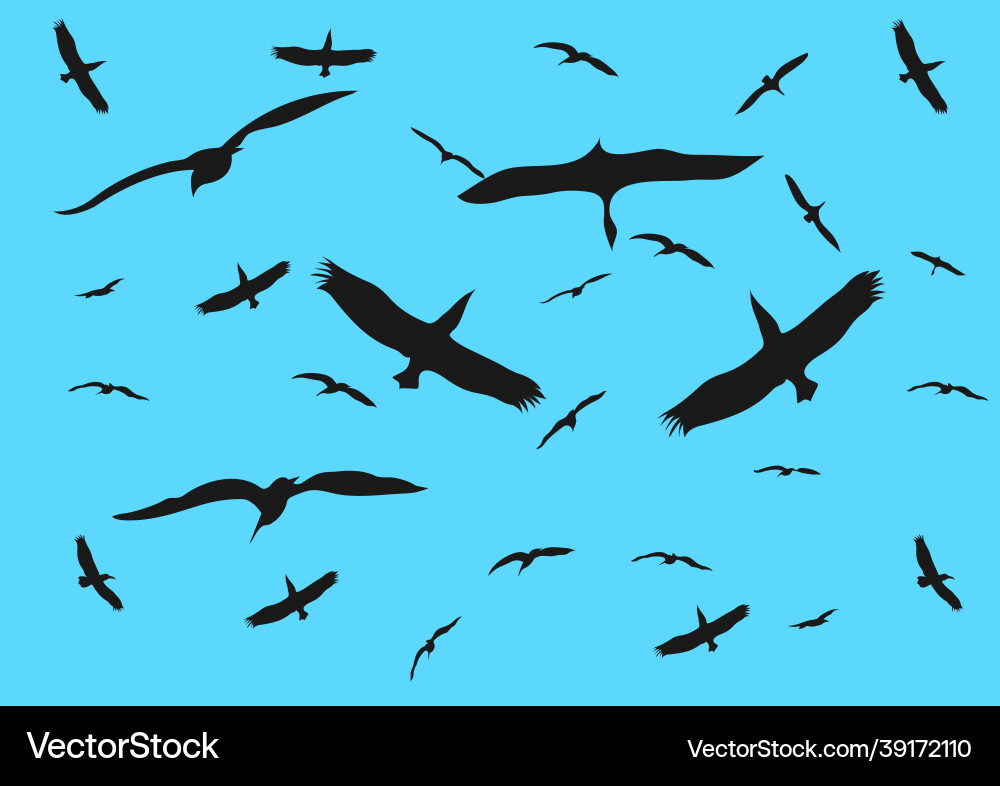 Graphics bird on sky isolated white background Vector Image