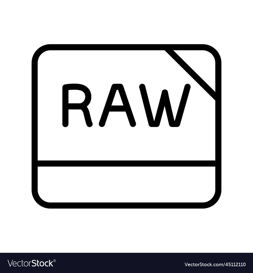 Image raw file icon Royalty Free Vector Image - VectorStock