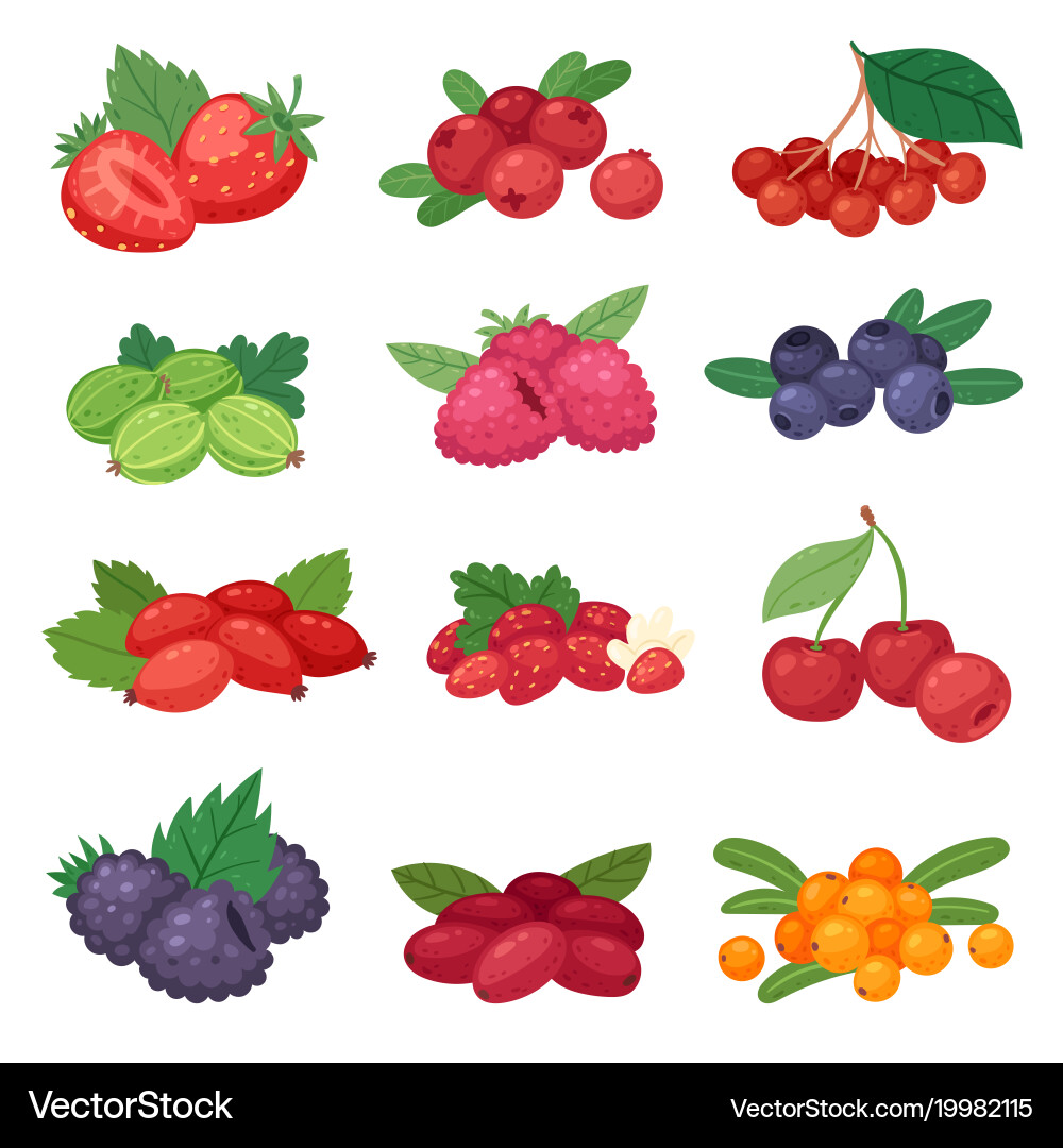 Berry berrying mix strawberry blueberry Royalty Free Vector