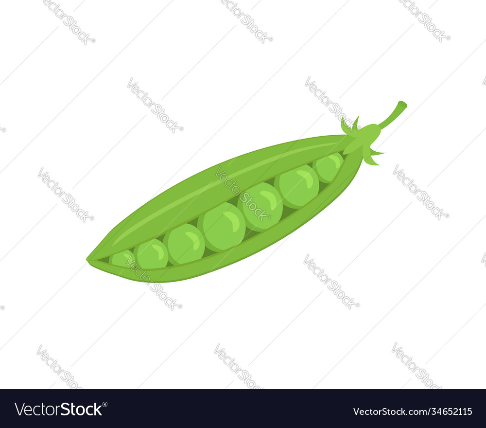 Fresh green pea pod isolated on white background Vector Image