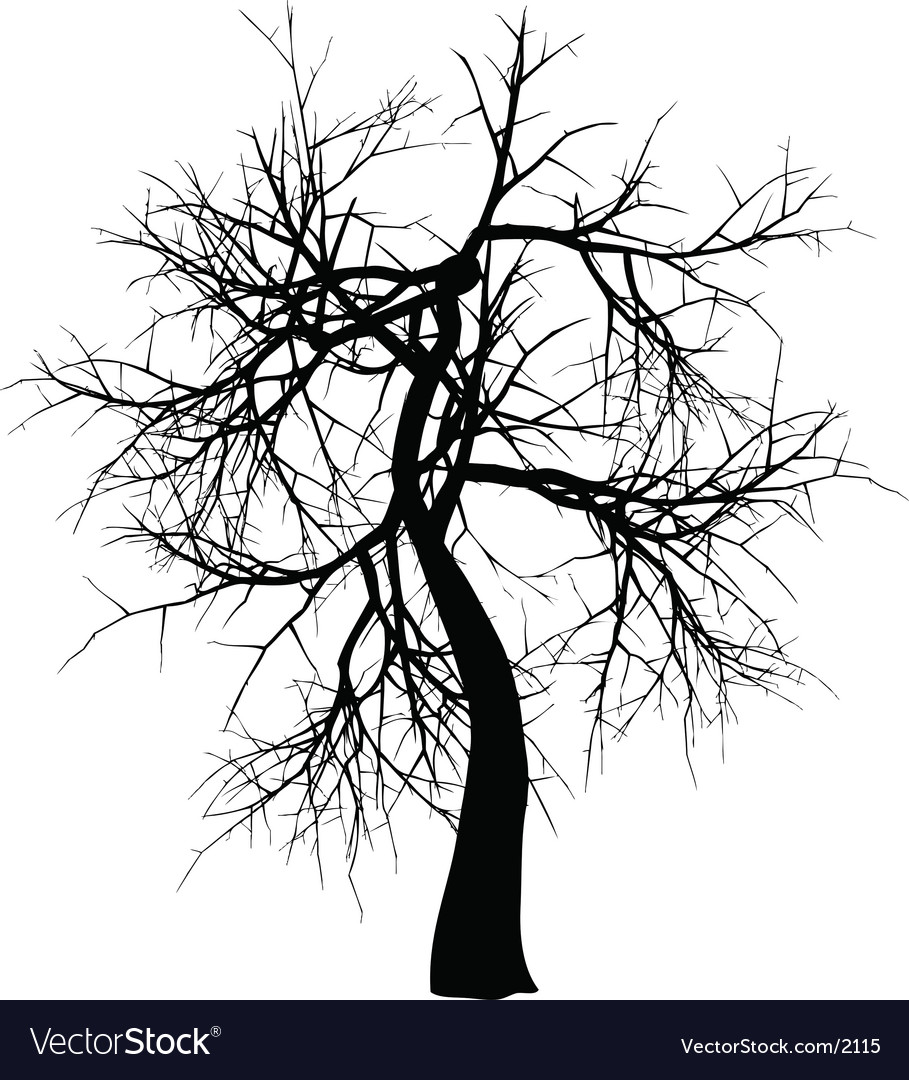 Winter tree Royalty Free Vector Image - VectorStock