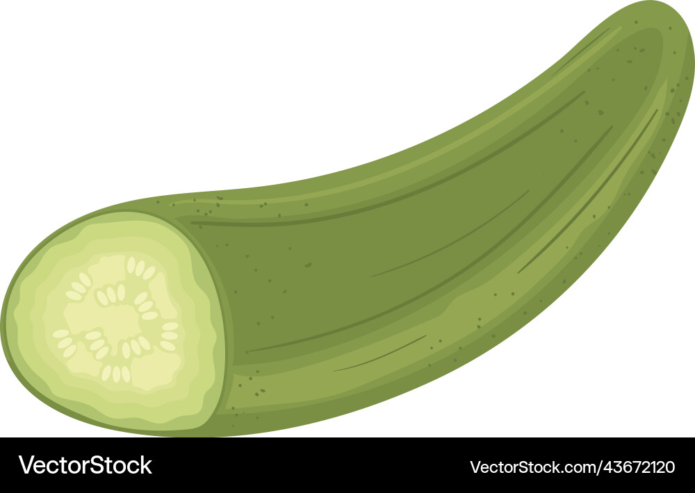 Cucumber vegetable icon Royalty Free Vector Image