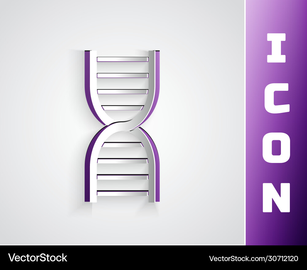 Paper cut dna symbol icon isolated on grey Vector Image