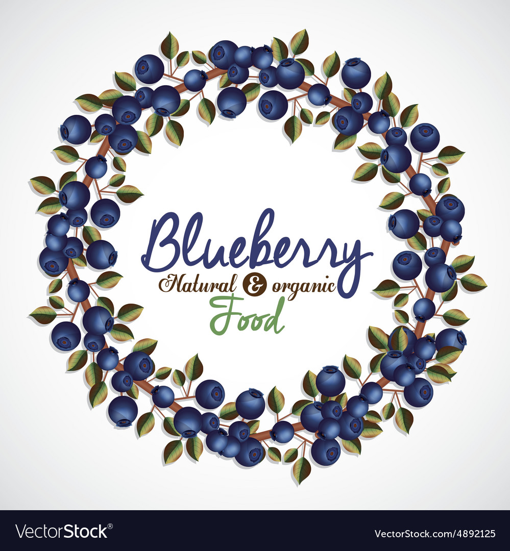 Blueberry design Royalty Free Vector Image - VectorStock