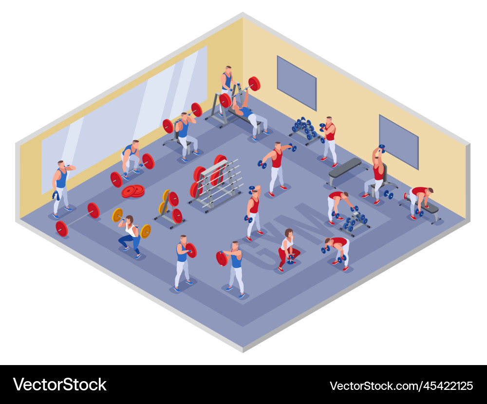 Bodybuilders in the gym isometric Royalty Free Vector Image