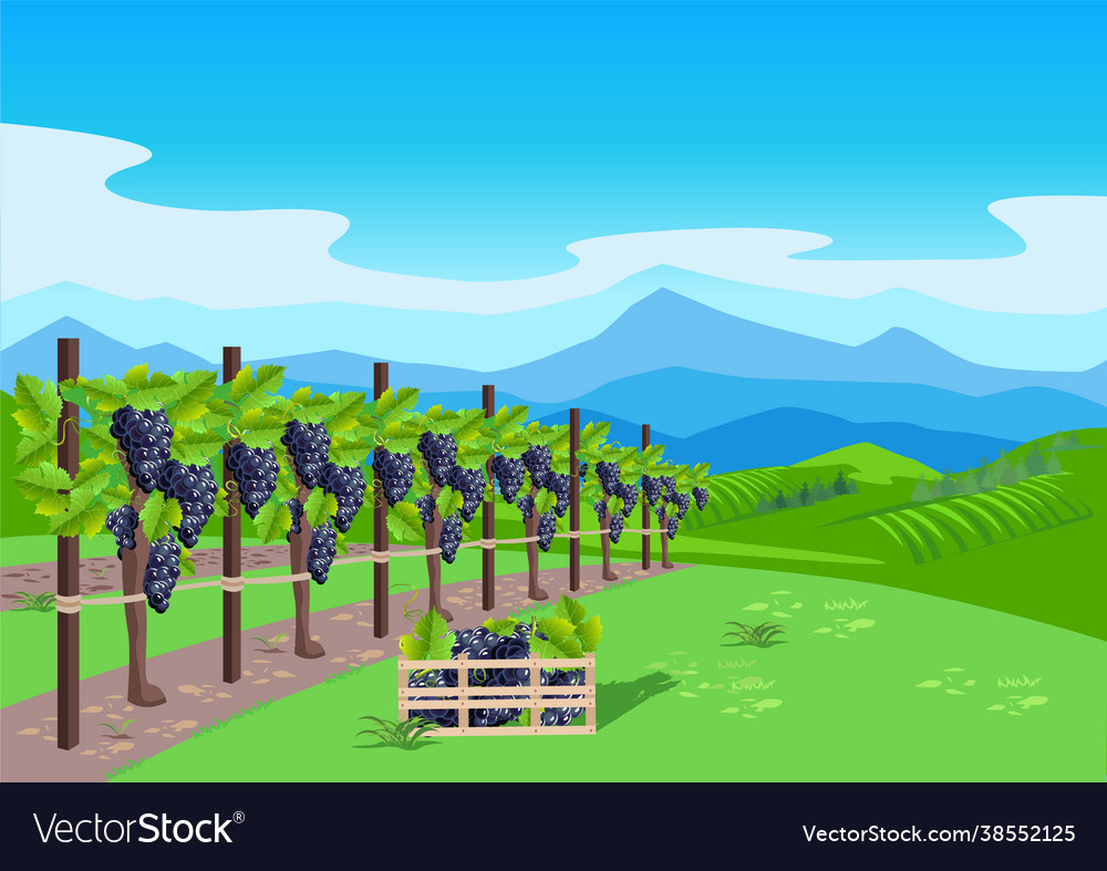 Harvest Royalty Free Vector Image - VectorStock