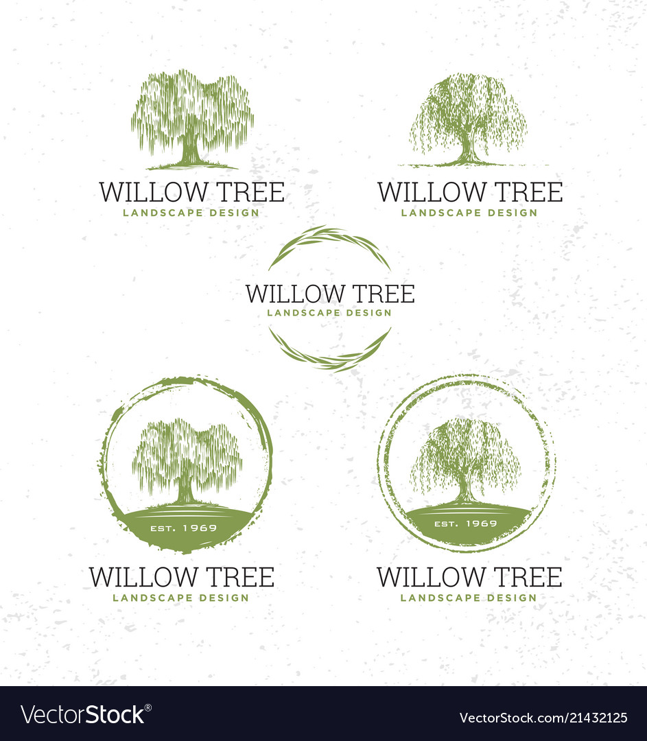Willow Tree Designs - Design Talk