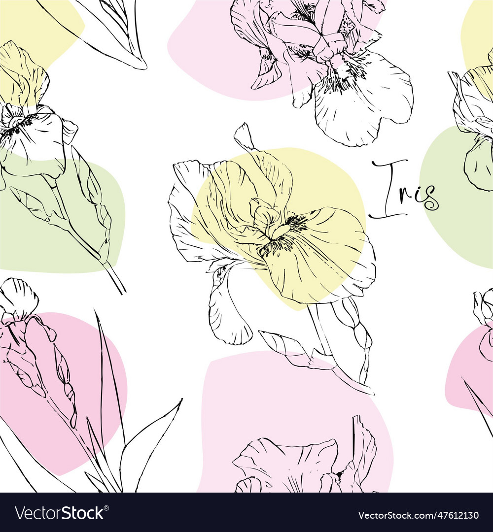 Iris pattern Royalty Free Vector Image - VectorStock