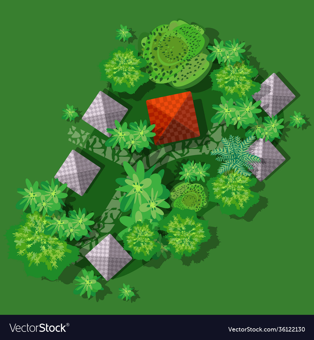 Top View Countryside With Forest Grass With Vector Image