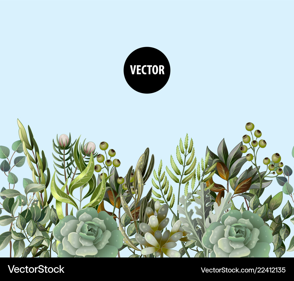 Border with leaves and succulent Royalty Free Vector Image