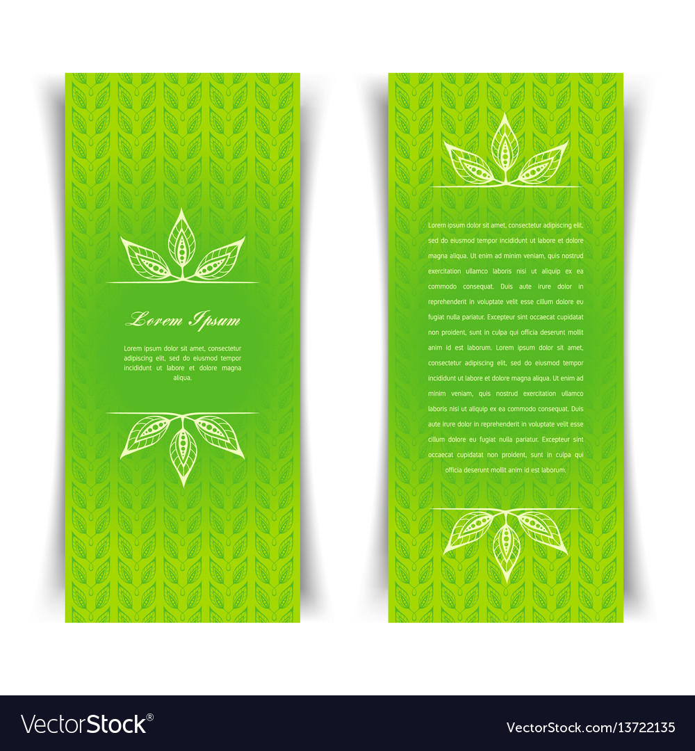 Green calligraphic elements Royalty Free Vector Image