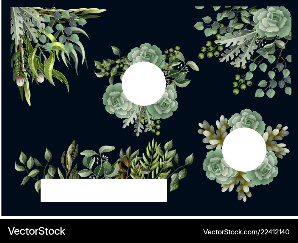 Border and frame with leaves succulent Royalty Free Vector
