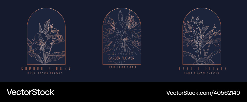 Exotic flowers signs or logo templates Royalty Free Vector