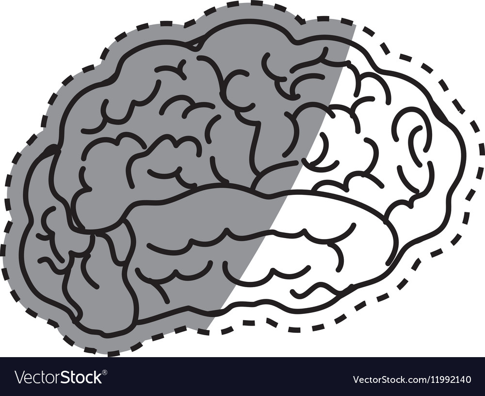 Human brain mind Royalty Free Vector Image - VectorStock