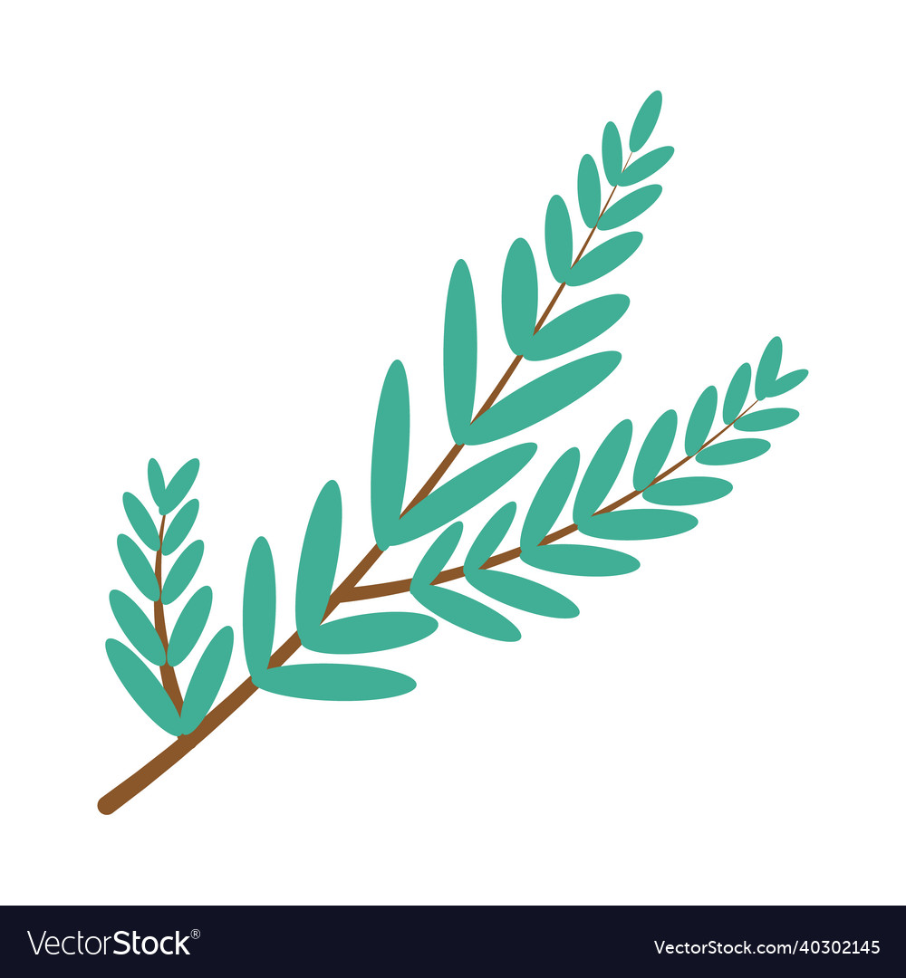 Branches with leaves Royalty Free Vector Image