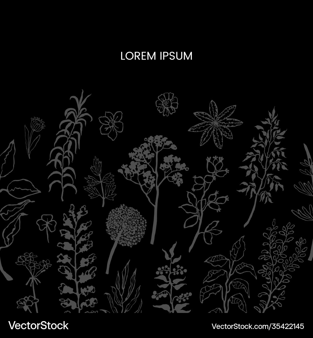 Floral template with plants and flowers Royalty Free Vector