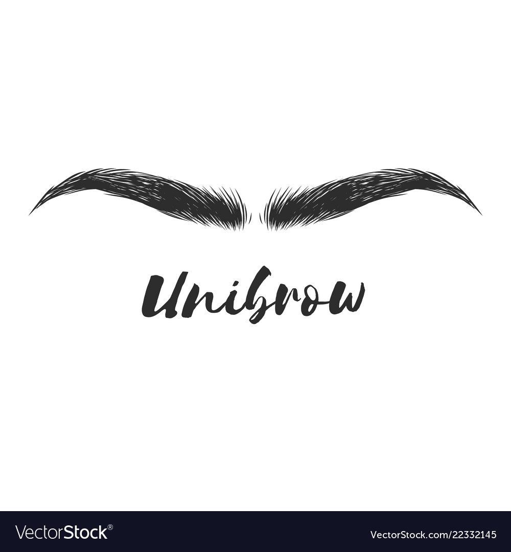 Makeup eyebrows unibrow shaping eyebrows and Vector Image