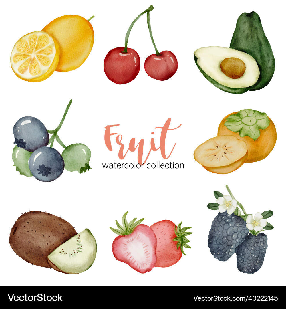 Mix fruit in watercolor collection flat on white Vector Image