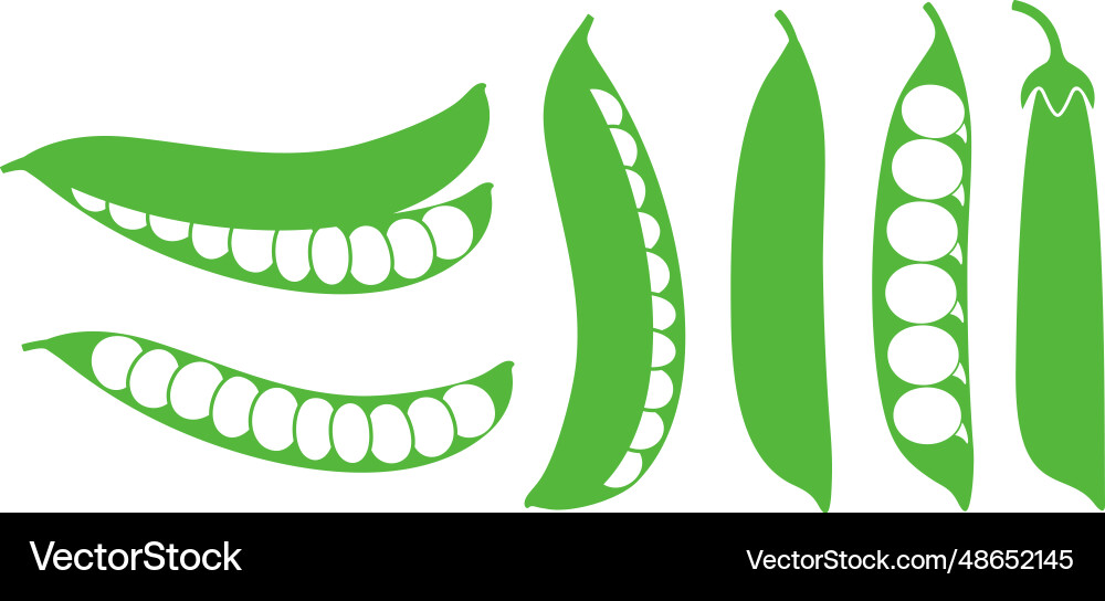 Pea Royalty Free Vector Image - VectorStock