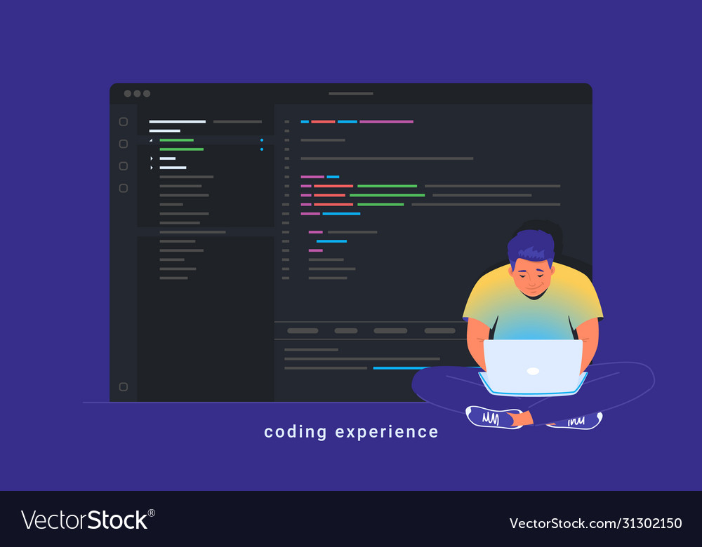 Coding experience and software development Vector Image