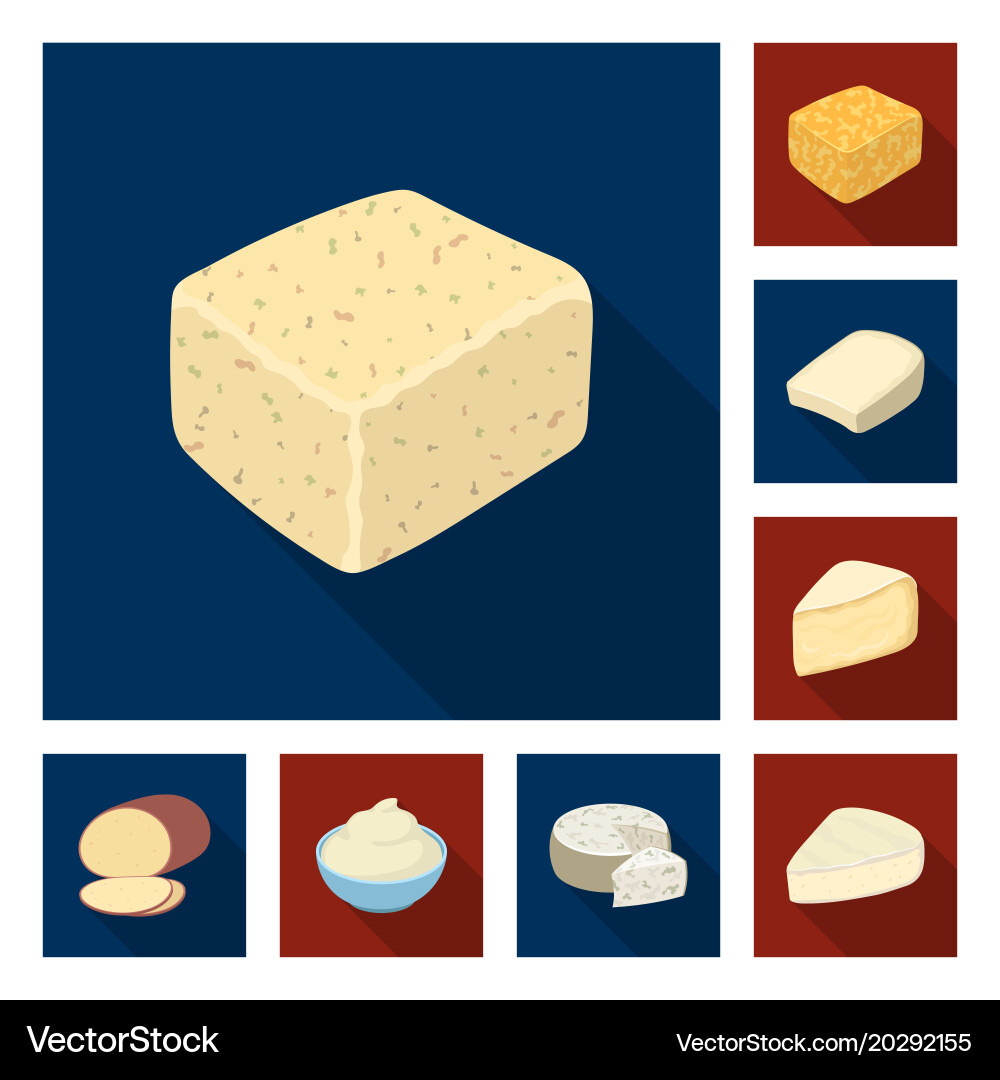 Different kind of cheese flat icons in set Vector Image